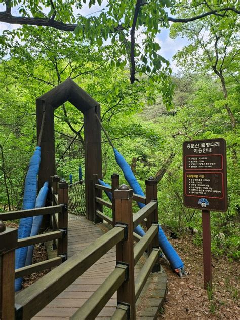 양평 가볼만한곳 용문사 주차장 템플스테이 은행나무 카페 네이버 블로그