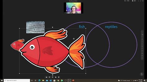 Classin How To Create And Save Edb Files Youtube