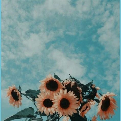 Aesthetic Flowers Cartoons Wallpapers Top Free Aesthetic Flowers