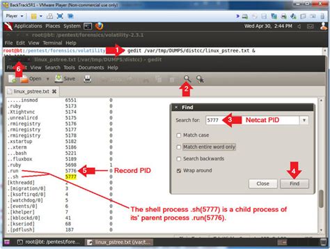 metasploitable forensics project lesson 1 conduct volatility analysis