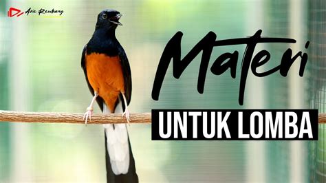 MASTERAN MURAI BATU PALING MEWAH UNTUK MATERI LOMBA YouTube