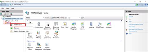 setting up a new website in iis ipserverone