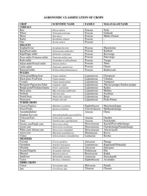 Agronomic Classification Of Crops Pdf Bean Ginger