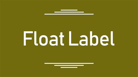 Html Css Form Float Label تحريك الهولدر الموجود بالحقول