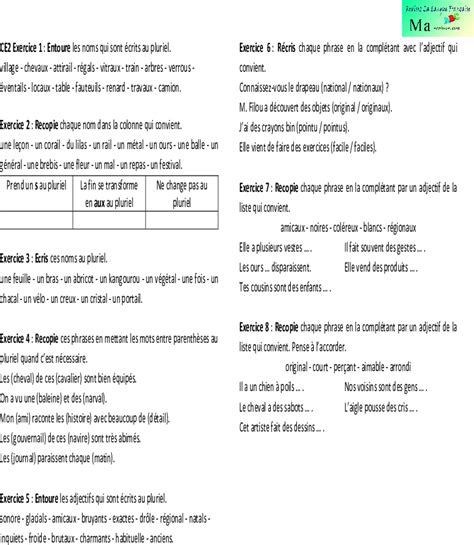 Ma Revision Pluriel Noms