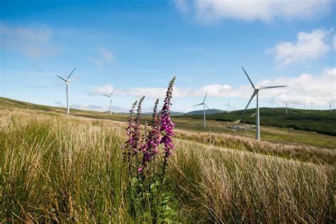 Joint Climate And Biodiversity Solutions Need To Be Part Of The