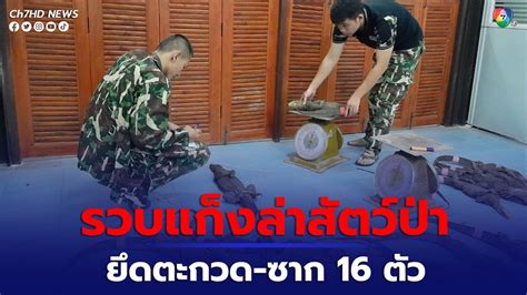 ข่าวรวบแก็งลักลอบล่าสัตว์ป่า ยึดตะกวด 13 ตัว พร้อมซากอีก 3 ตัว มูลค่า