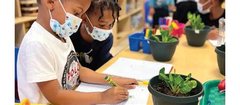 8 Montessori Classroom Layout Tips