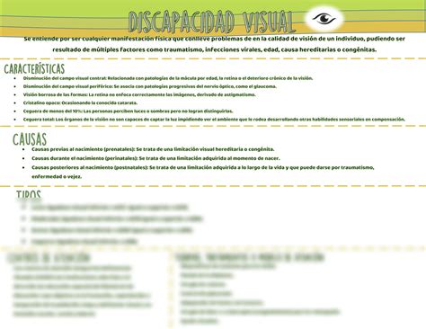 SOLUTION: Infografía Discapacidad Visual - Studypool