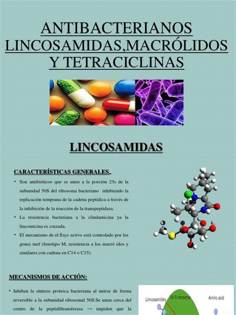Exposicion Pdf Causas De La Muerte Medicina