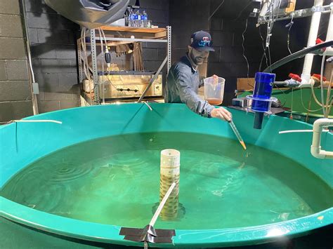Closed Job Announcement Fisheries And Aquaculture Extension Associate