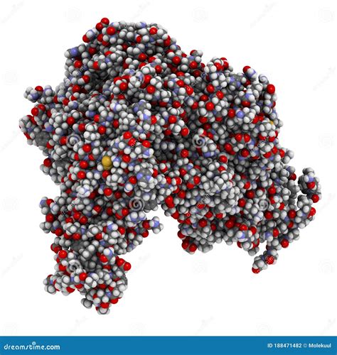 Ebola Virus Glycoprotein Gp Molecular Structure Occurs As Spikes On