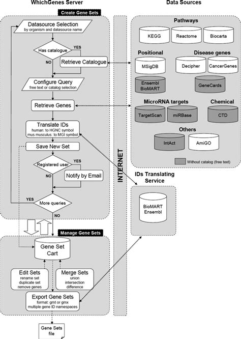 Schematic Whichgenes Workflow The User Can Iterate Between Gene Set