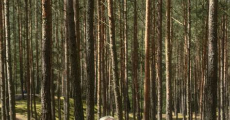 Zdjęcie Z Portfolio Michał D Dlugokecki Akt 10591544 Maxmodelspl