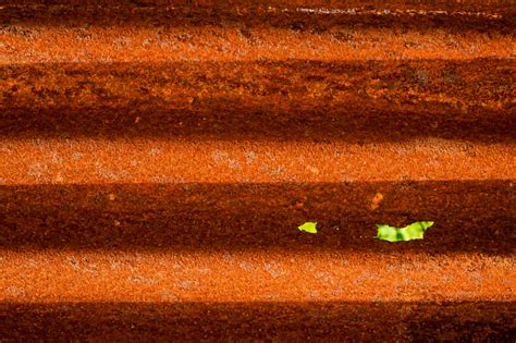 아연 시트 울타리의 오래된 녹슨 배경은 그런지 배경입니다 0명에 대한 스톡 사진 및 기타 이미지 0명 갈색 개체 그룹 Istock