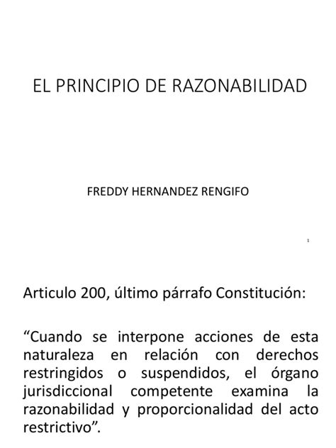 Pdf El Principio Razonabilidad Dokumentips