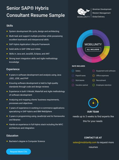 Find Hybris Consulting Services In Eastern Europe Mobilunity