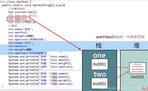 new关键字，类对象的声明和实例化 实用程序类的实例化 csdn博客