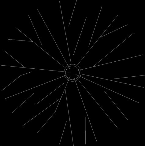 Trees 2D DWG Block For AutoCAD Designs CAD
