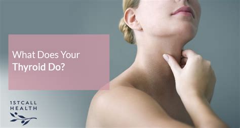 What Does Your Thyroid Do 1stcallhealth Primary Care Providers