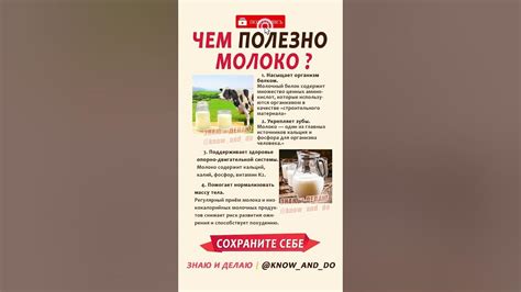 👉 Чем полезно молоко Польза и вред молока для организма ️ Рецепты