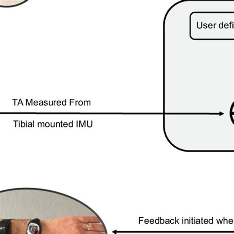 Block Diagram Of Real Time Haptic Feedback System Download
