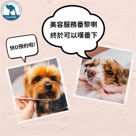 寵愛軒 番黎喇🔥番黎喇🔥 寵物美容服務番黎喇 由1月5日起 正式投入運作啦 🎊🎉 新駐場寵物美容師 Klara擁有專業寵物美容師資格
