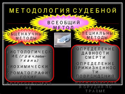 Система и задачи судебной медицины - online presentation