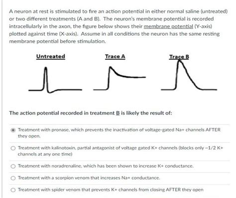 A Neuron At Rest Is Stimulated To Fire An Action