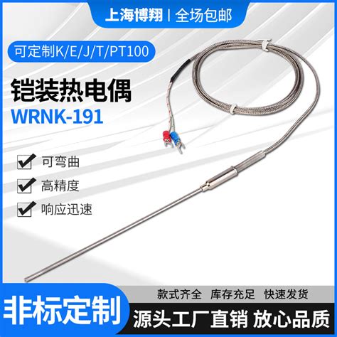 K Type Armored Thermocouple E J Needle Type Wrnk 191 Measuring Wire Pt100 Temperature Sensor