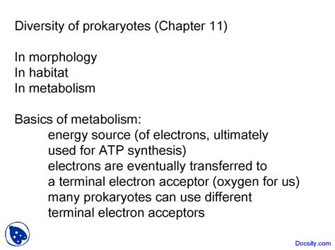 Diversity Of Prokaryotes Principles Of Microbiology Lecture Slides