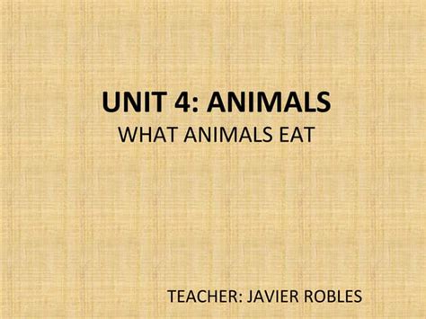 The Eating Habits Of Animals Ppt Project
