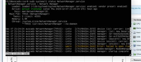 Networking Any Idea How To Bring Back The Network Without Netplan Cmd