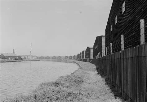 From Sheas Creek To Alexandra Canal The Dictionary Of Sydney