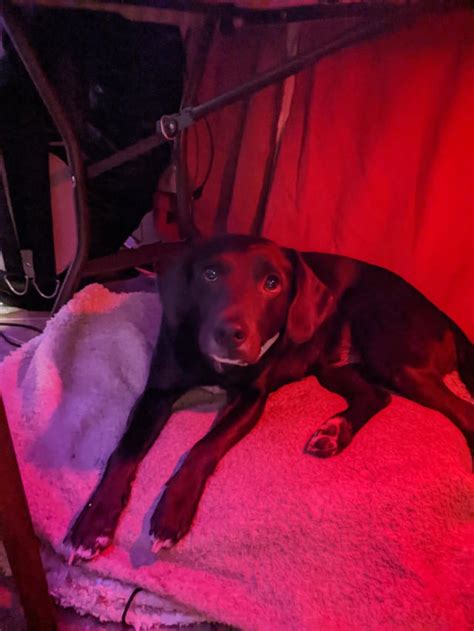 The Best Girl Ellie R Pics