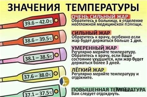Какая температура тела нормальная Новости Городской округ Истра