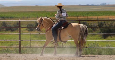 Judith Basin County Fair Concludes News
