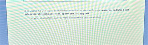 Solved In Module 1 3 ﻿cell Types Examine The Illustrations