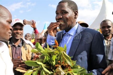 Study Links Chewing Miraa To Poor Academic Performance The Standard