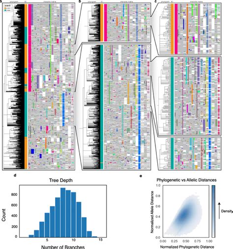 Phylogenetic Tree Of Life High Resolution