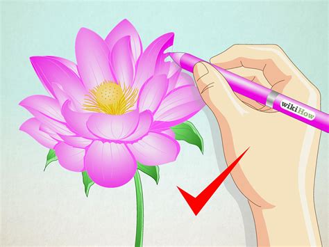 Comment dessiner une fleur de lotus étapes