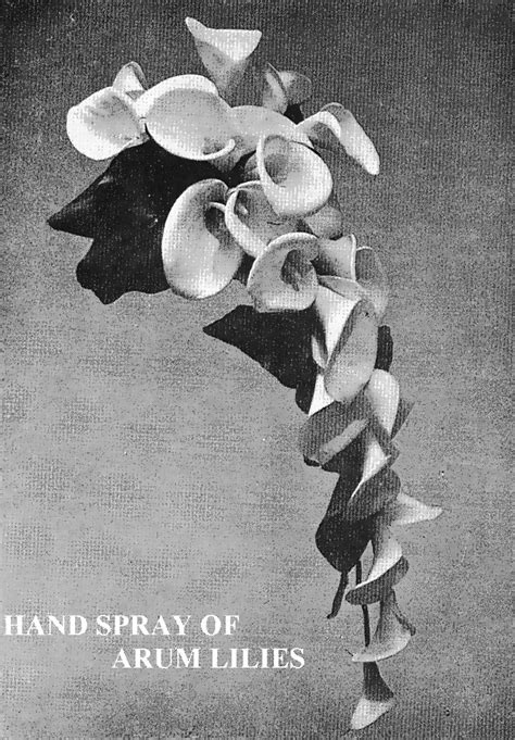 Davids Diary Constance Spry Part Three