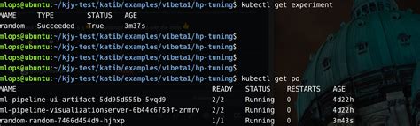 Example Yamls Runs Failing · Issue 1790 · Kubeflowkatib · Github