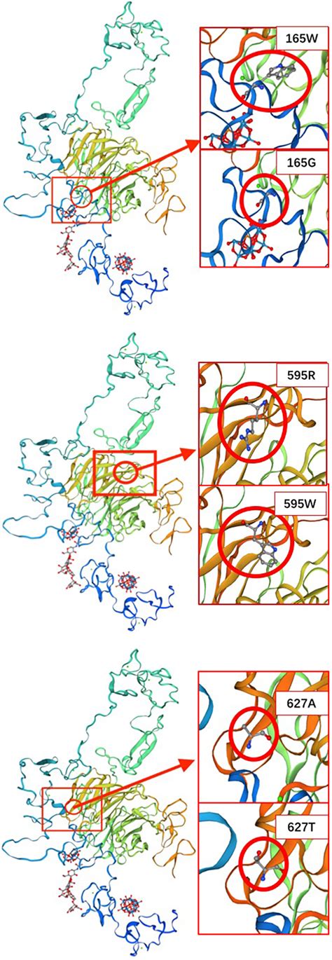 Simulated Three‐dimensional Molecular Structure Model Of The Identified