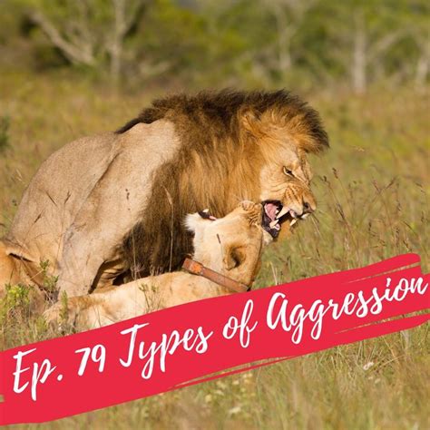 Ep 79 Types Of Aggression