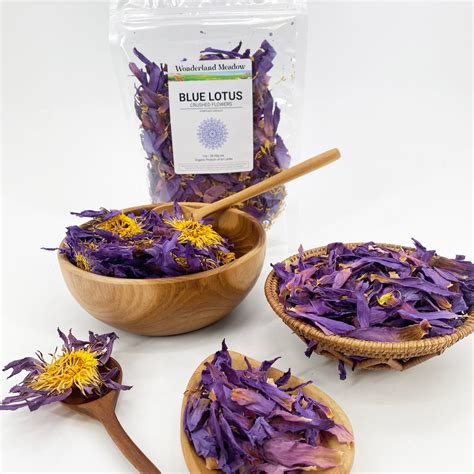 Organic Premium Blue Lotus Nymphaea Caerulea Wonderland Meadow