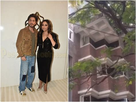 Watch Heres How Shah Rukh Khans Gauri Khans Office Turned Into