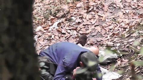 Woods Series Forest Wild Eporner