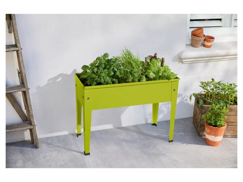 Mini Raised Planter Lidl Northern Ireland Specials Archive