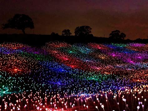 Field Of Light At Sensorio American Wonders Bruce Munro Paso Robles